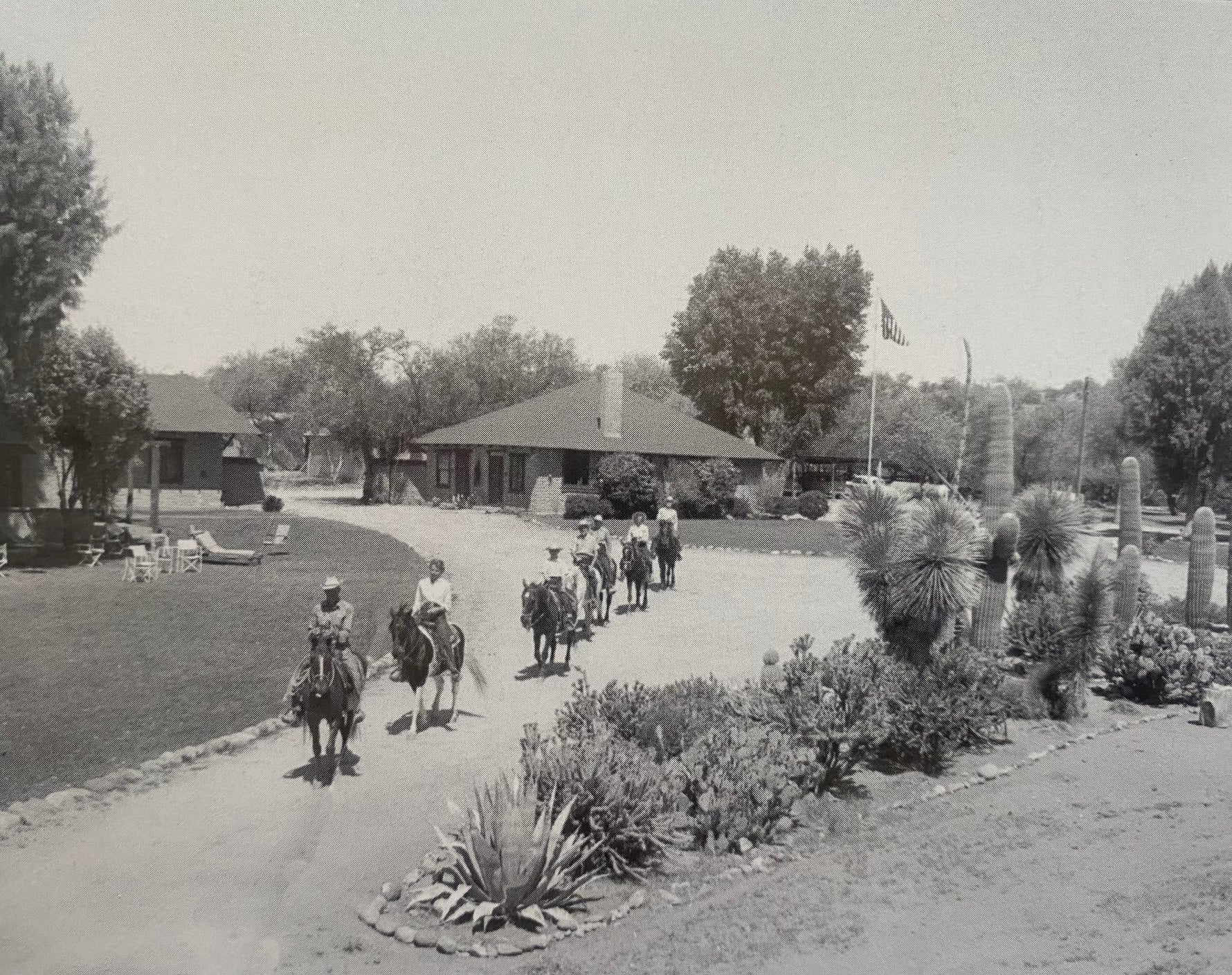 True Ranch Collection General Store – True Ranch General Store